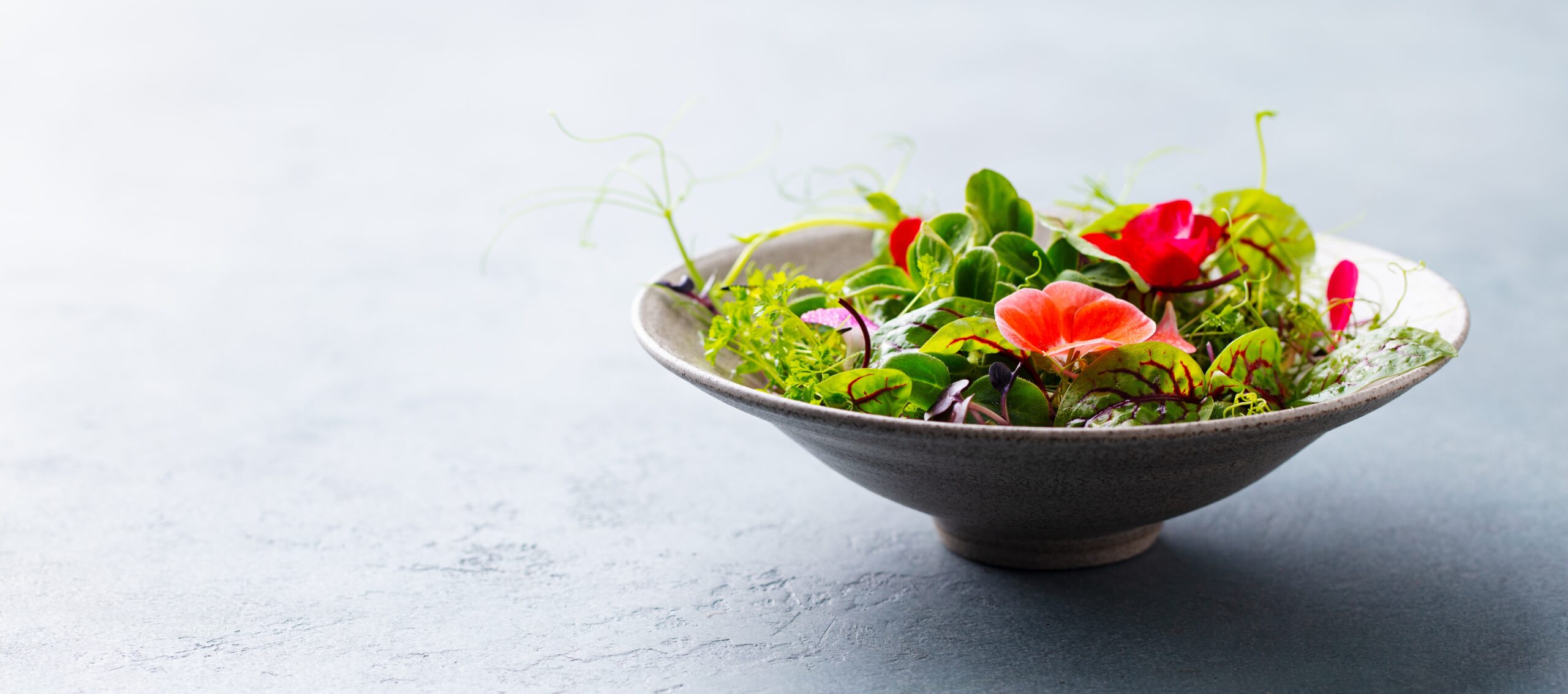 Product Gallery - JetFresh Foods